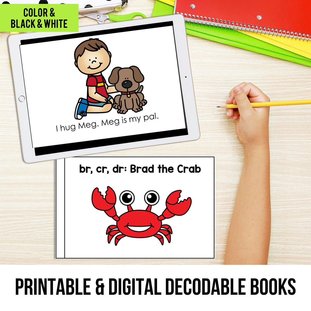 Printable Decodable Books and Puzzles MEGA BUNDLE - Science of Reading ...