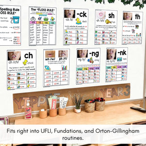 Phonics Spelling Rules Posters and Anchor Charts - SOR Aligned – My ...
