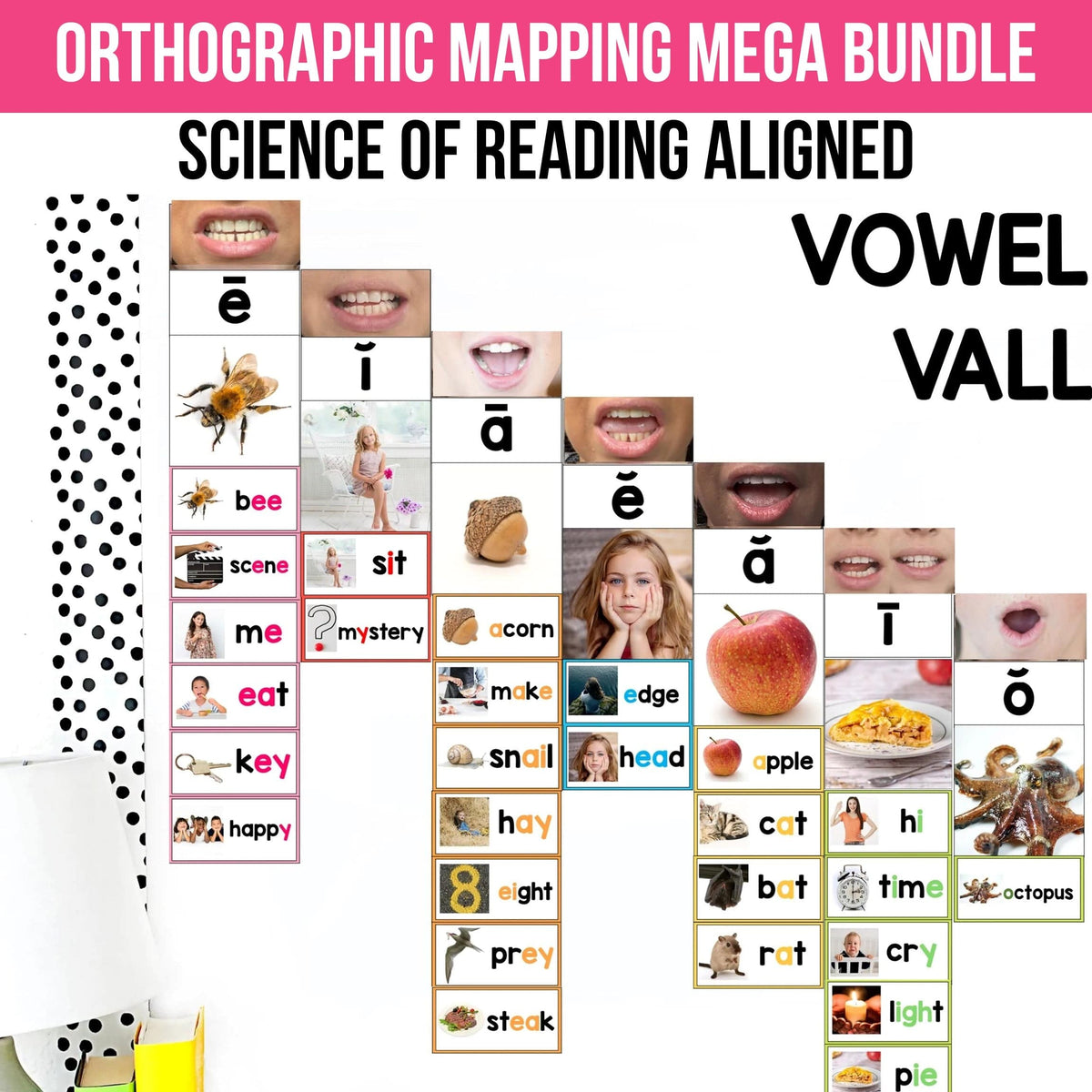 Orthographic Mapping Mega Bundle just $19 ($200 VALUE) - Science of Re ...